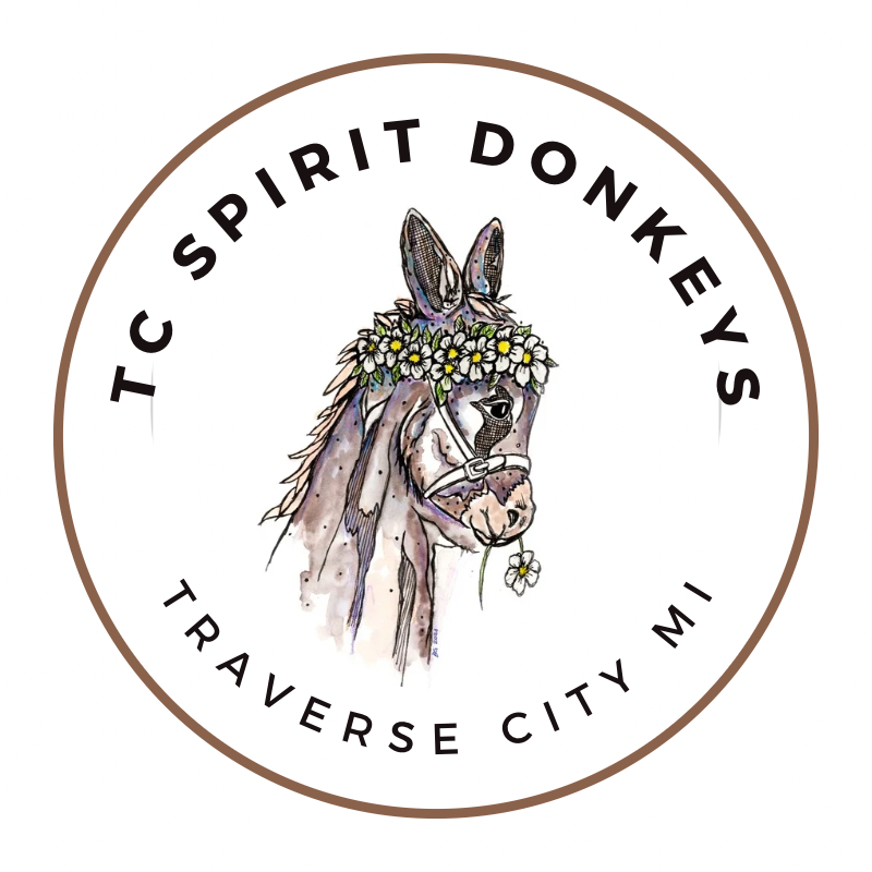 Welcome to Little Long Ears Provisions: Farm-Fresh, Artisan Flavors ...